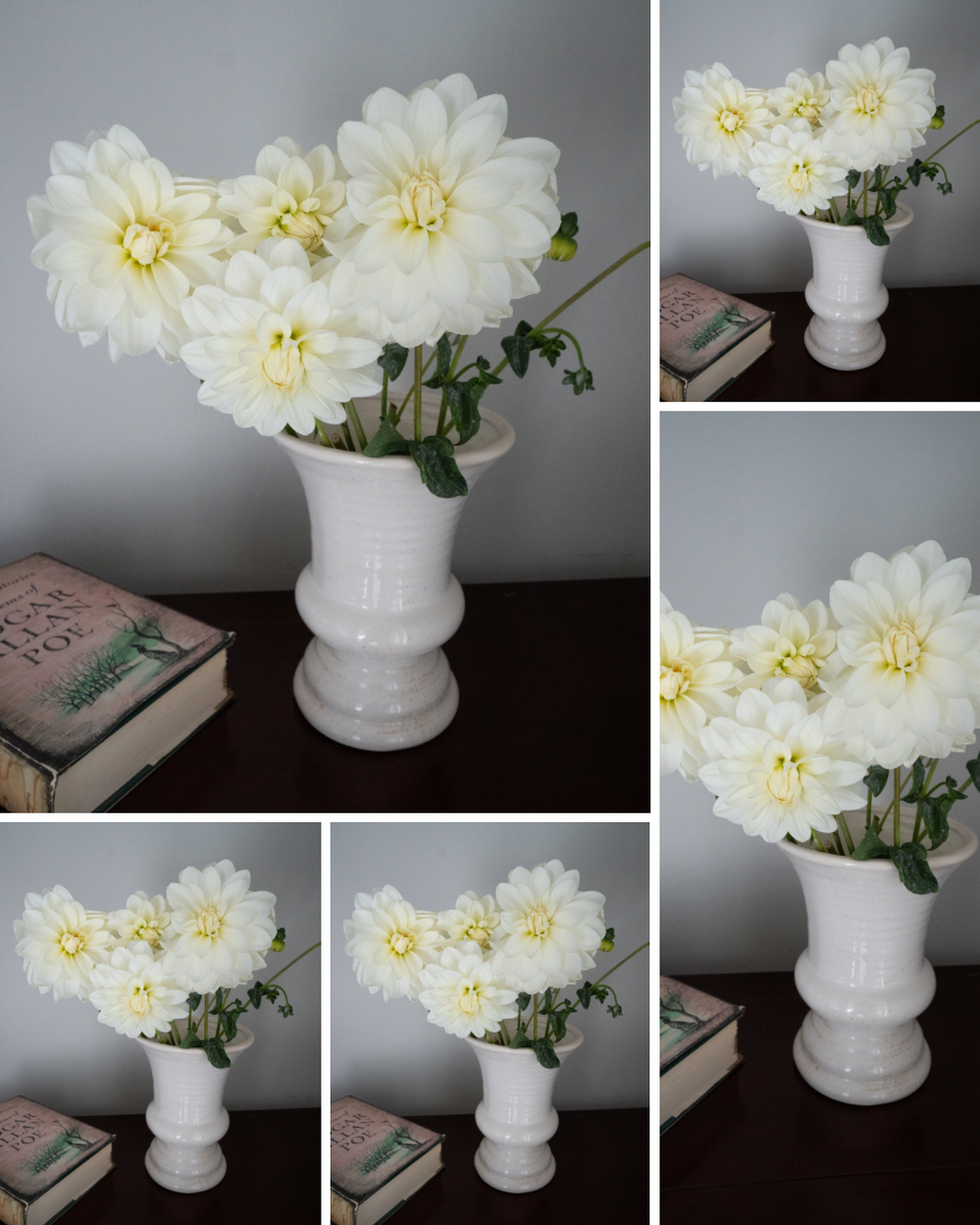 Bridezilla Dahlia - Garden Hands Dahlias - Sharing Beauty